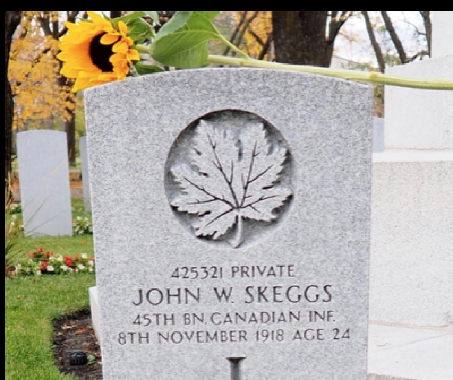 Home Children Canada War Service Index | We Found It